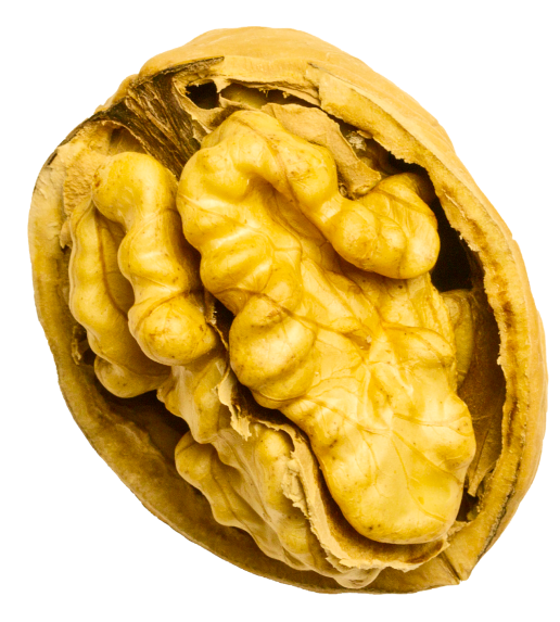 walnnut.com | Online Insurance - Compare Online Insurance Quotes ...